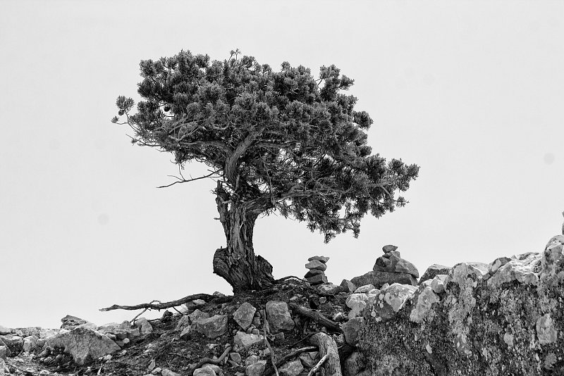 004-004-IMG-0082.jpg - Sebastian Kämpfe Photography